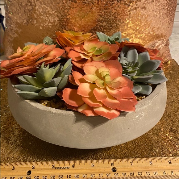 Studio 3B from Bed Bath & Beyond | Accents | Nwt Studio 3b Succulent ...